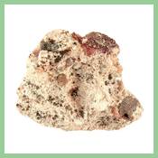 Organic Sedimentary Rocks